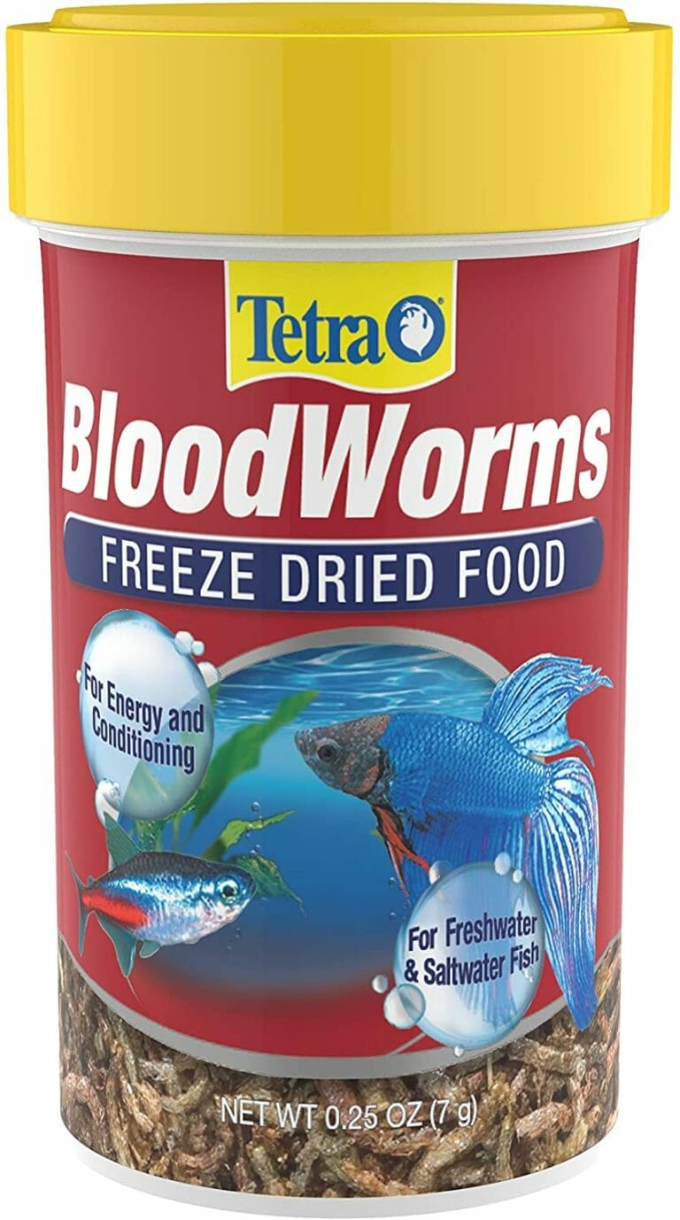 What Do Betta Fish Eat in the Wild: The Best Food for Your Betta Fish ...
