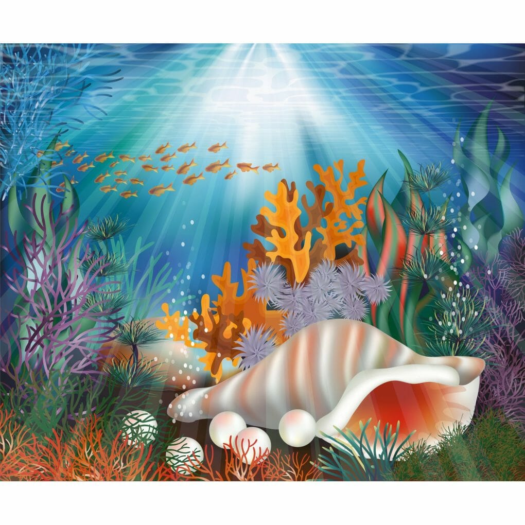 Best Aquarium Backgrounds: Choosing the Perfect Background Design for ...