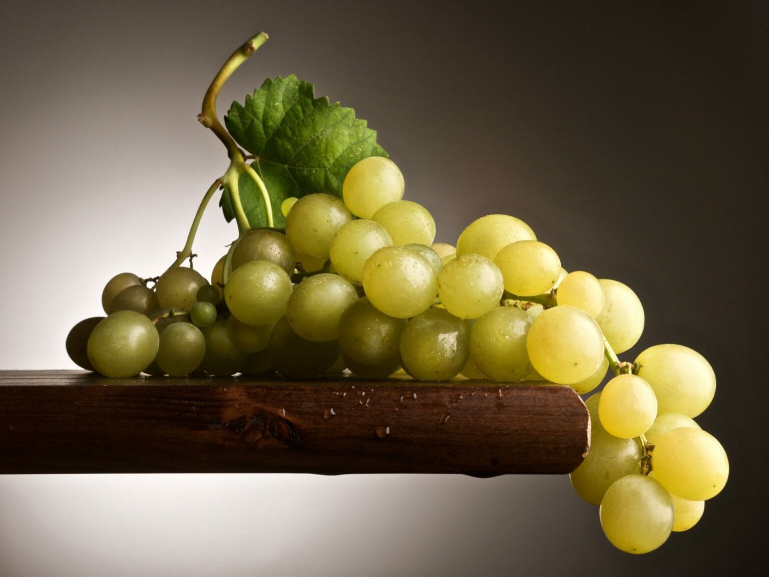 Can Red-Eared Slider Turtles Eat Grapes: A Guide to Safely Feeding Red ...