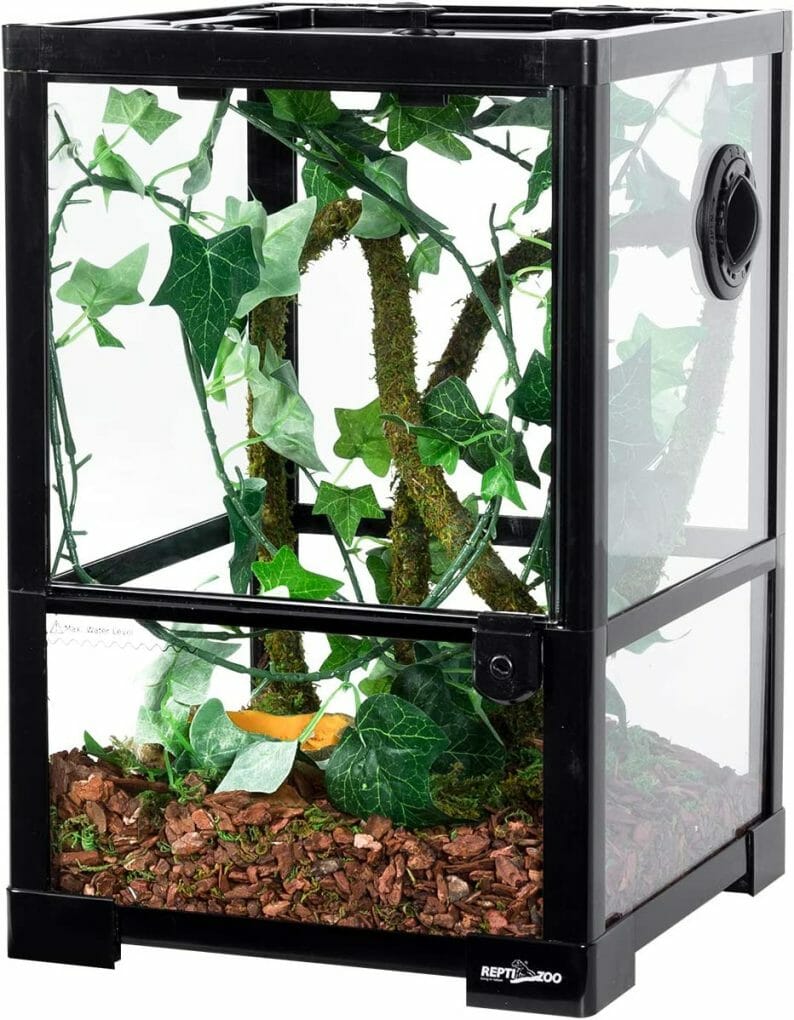 10-Gallon Aquarium Ideas: Tips to Make Your Fish Tank More Appealing ...