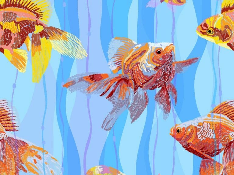 Aquarium Craft Ideas: Wonderful Sight That Everyone Will Enjoy!
